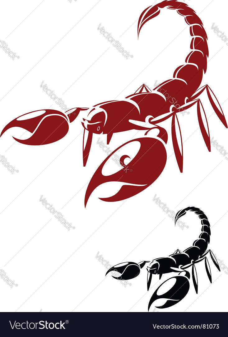 Scorpion Royalty Free Vector Image - VectorStock