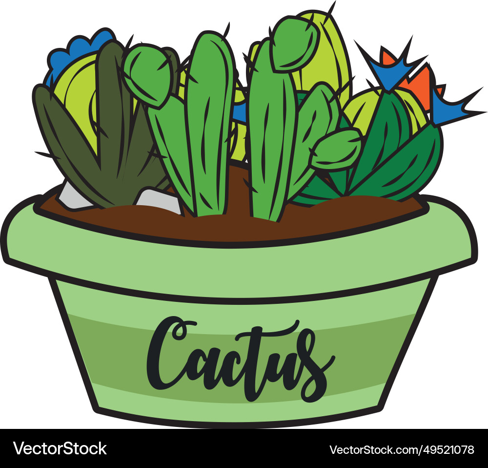 Group of different colored cactus on a pot Vector Image