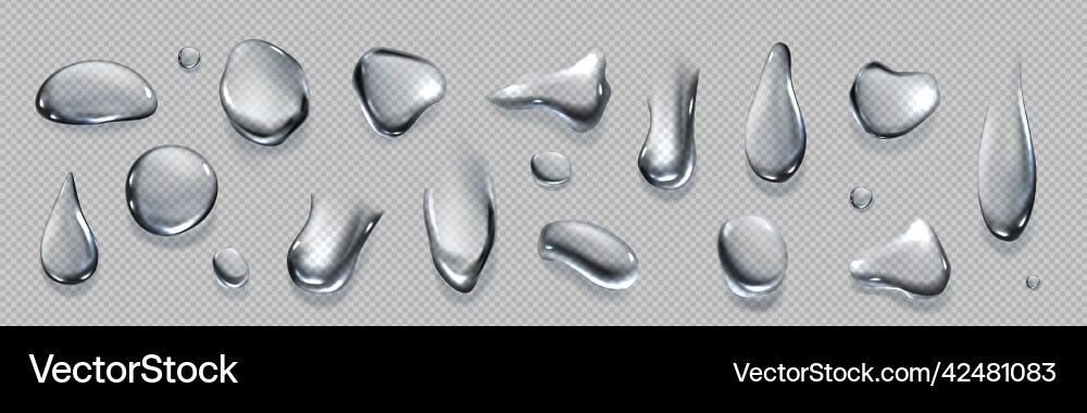 Clear water drops dew or dripping rain droplets Vector Image