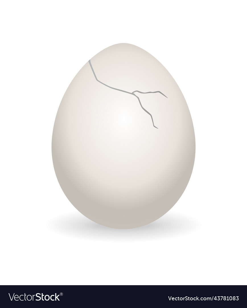 Cracked egg eggshell cracking stage realistic Vector Image