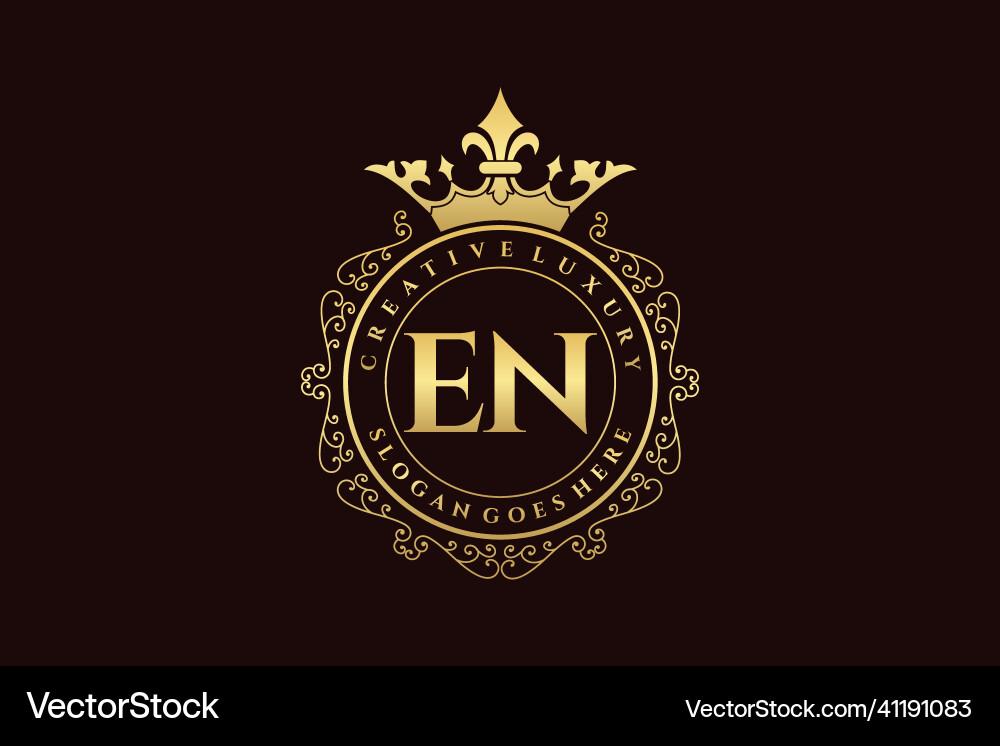 En initial letter luxury calligraphic feminine Vector Image