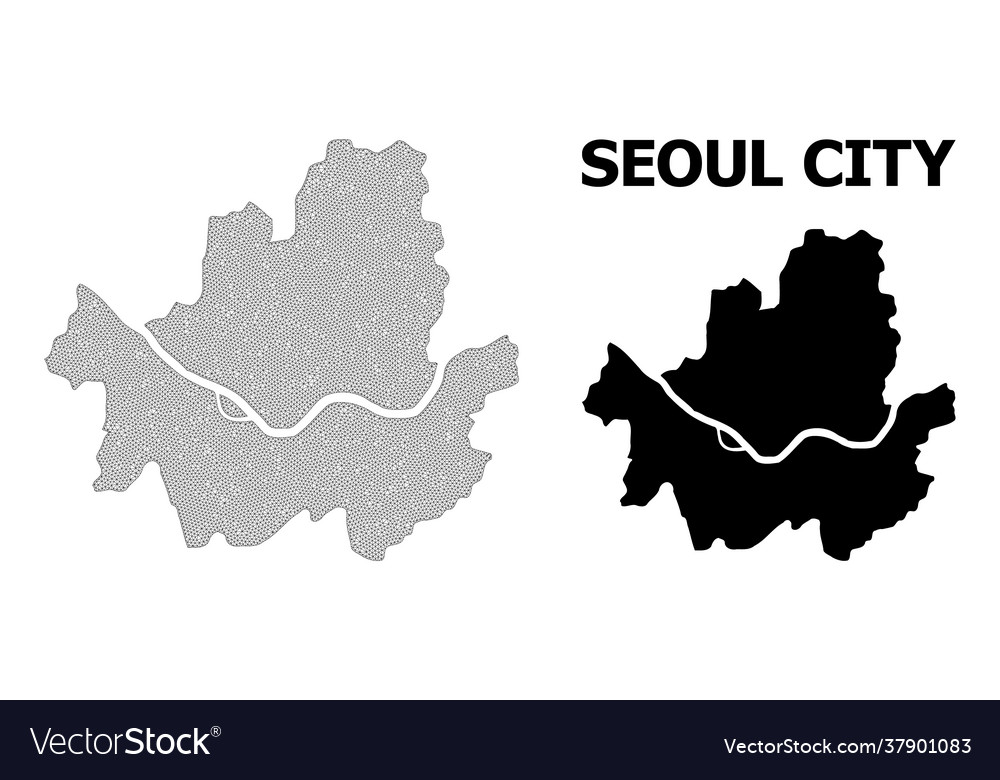 Polygonal network mesh high resolution map Vector Image Polygonal network mesh high resolution map Vector Image