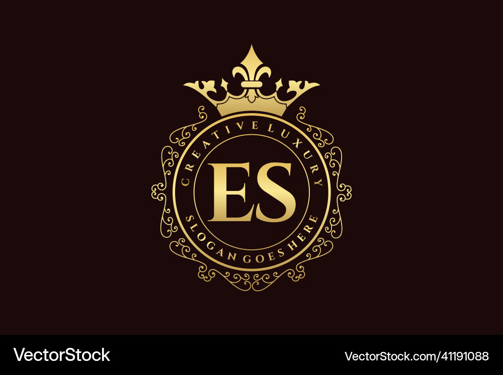 Es initial letter luxury calligraphic feminine Vector Image