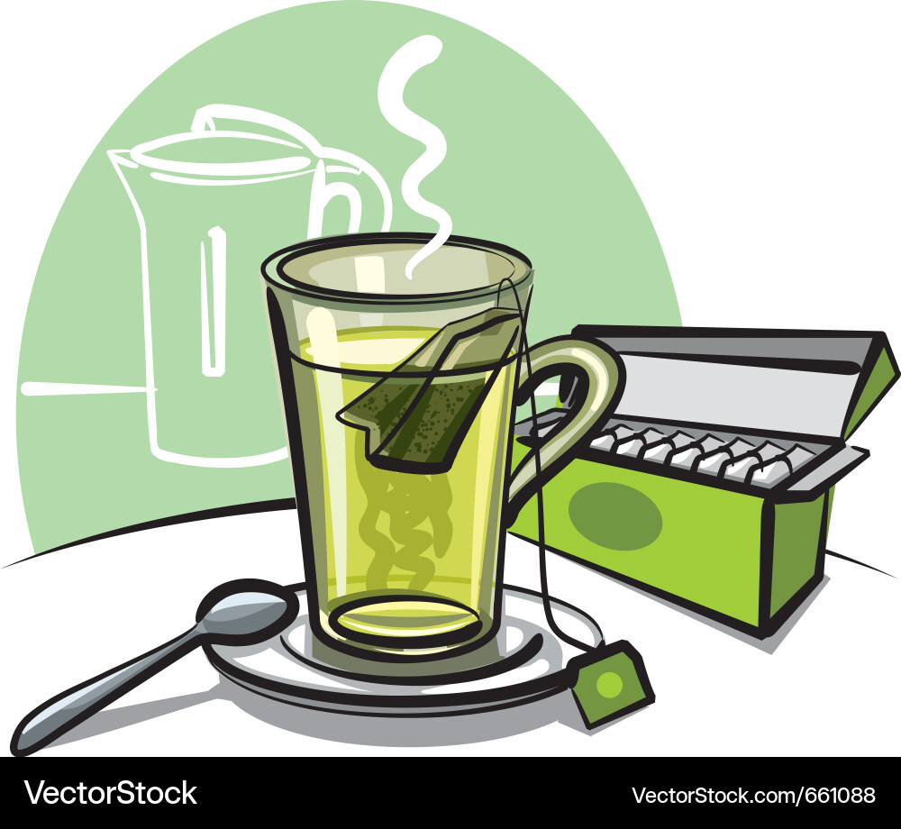 Green tea and tea bags Royalty Free Vector Image