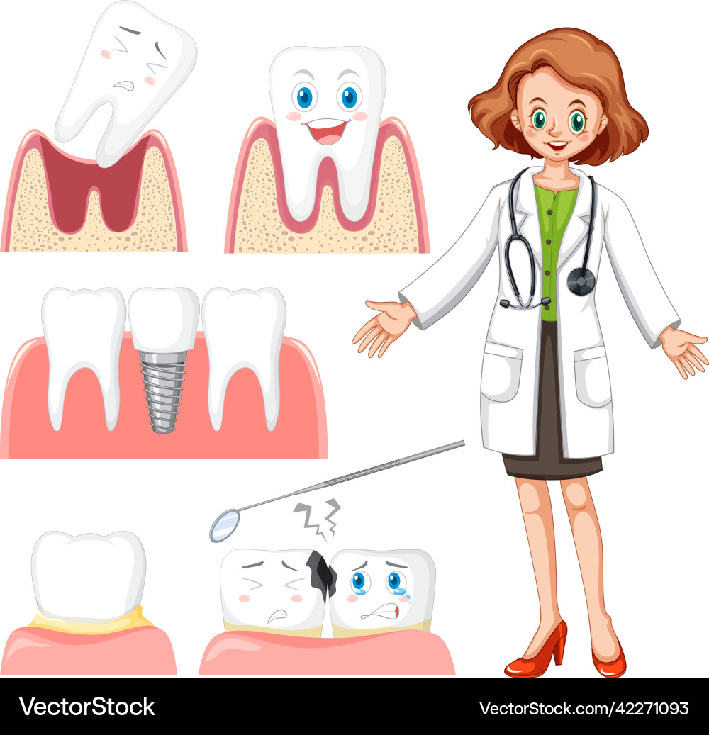 Set of all types teeth on white background Vector Image