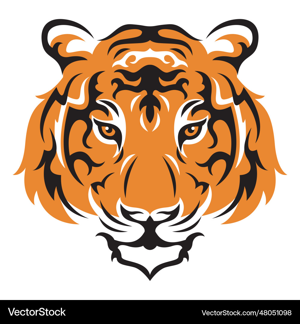 Colorful tigress head stroke Royalty Free Vector Image