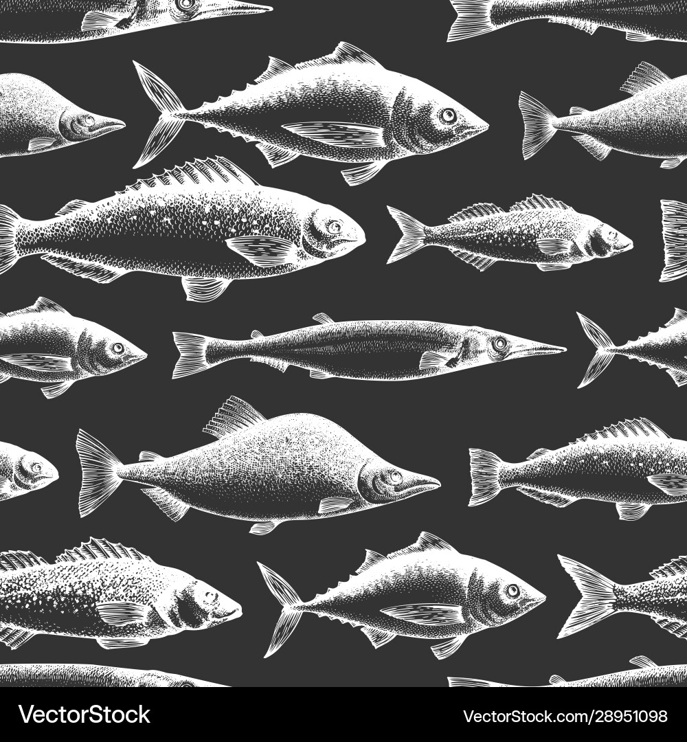 Fish seamless pattern hand drawn fishes on chalk Vector Image