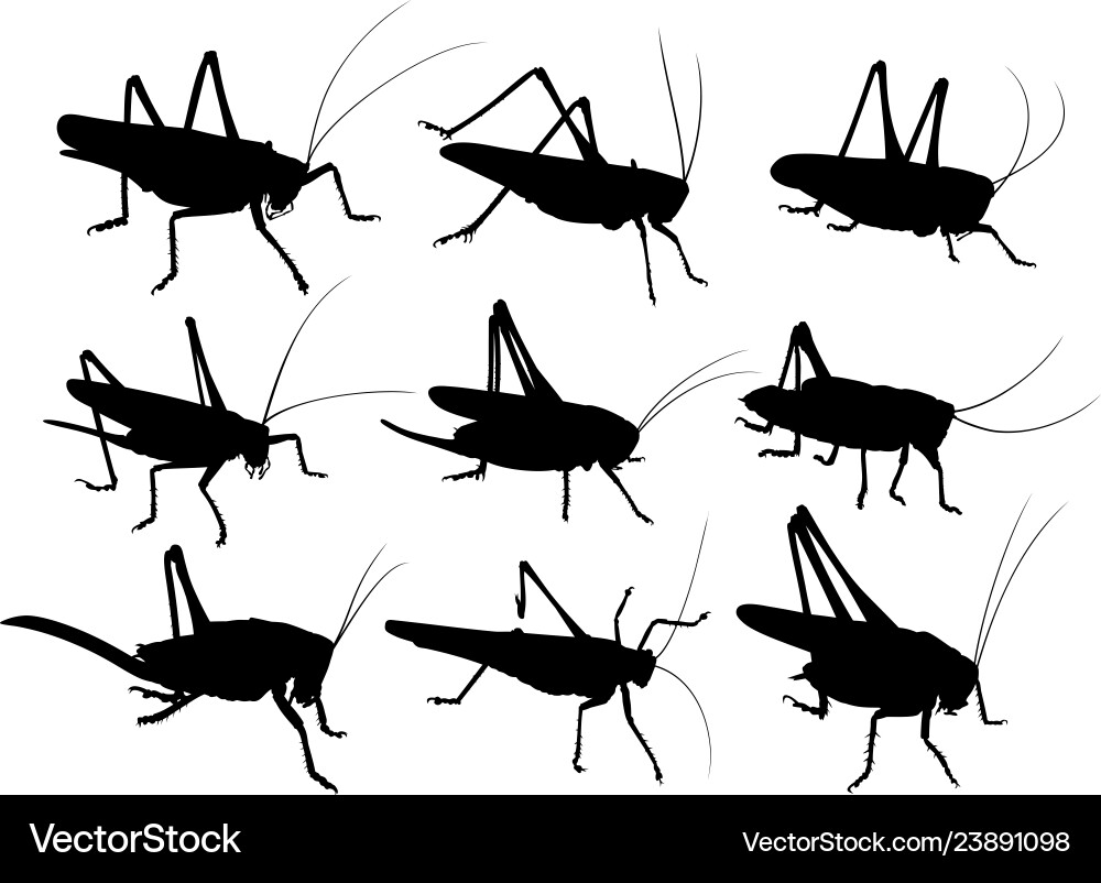 Silhouettes of locust Royalty Free Vector Image