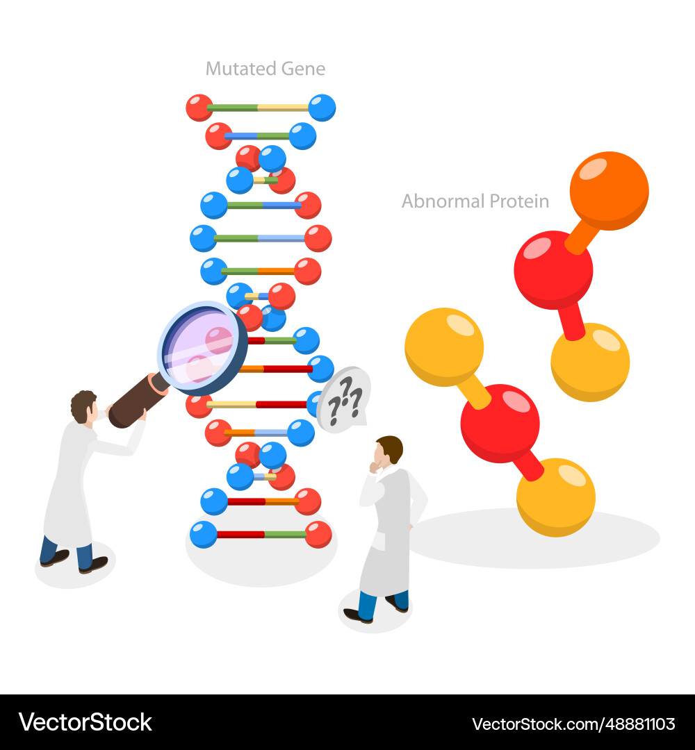 3d isometric flat of genetic Royalty Free Vector Image
