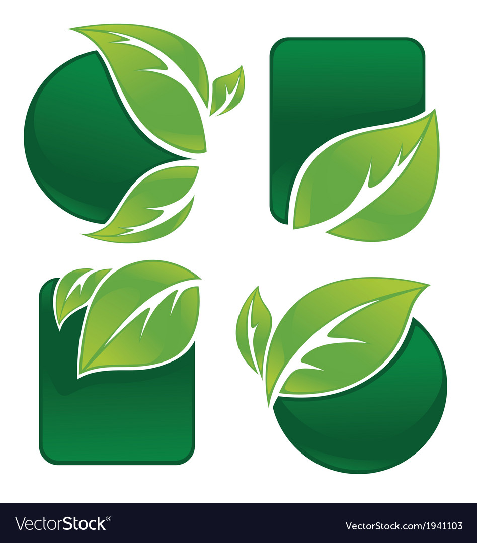 Leaf frames and forms Royalty Free Vector Image