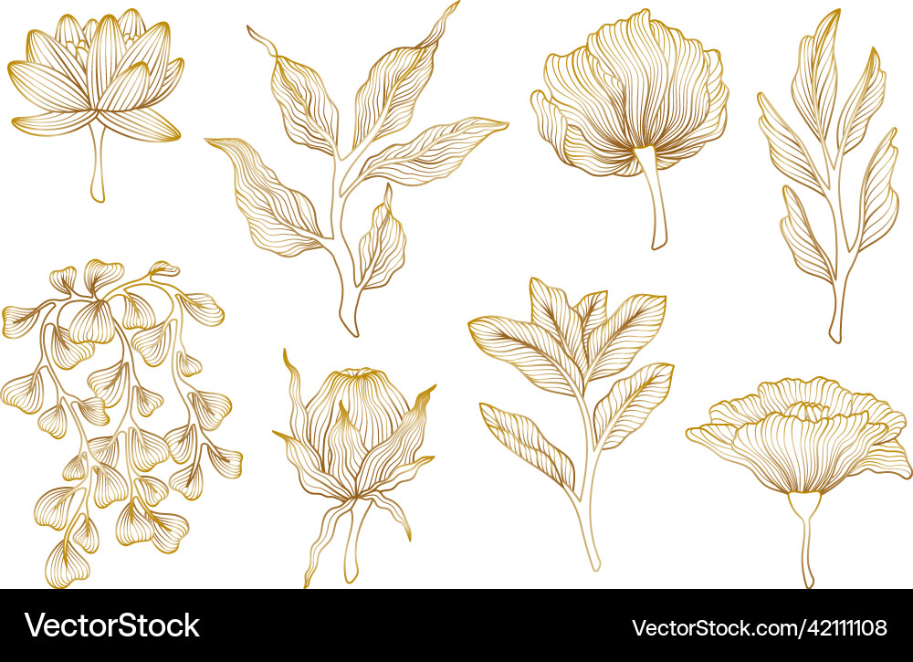 Gold line floral elements luxury golden leaf Vector Image