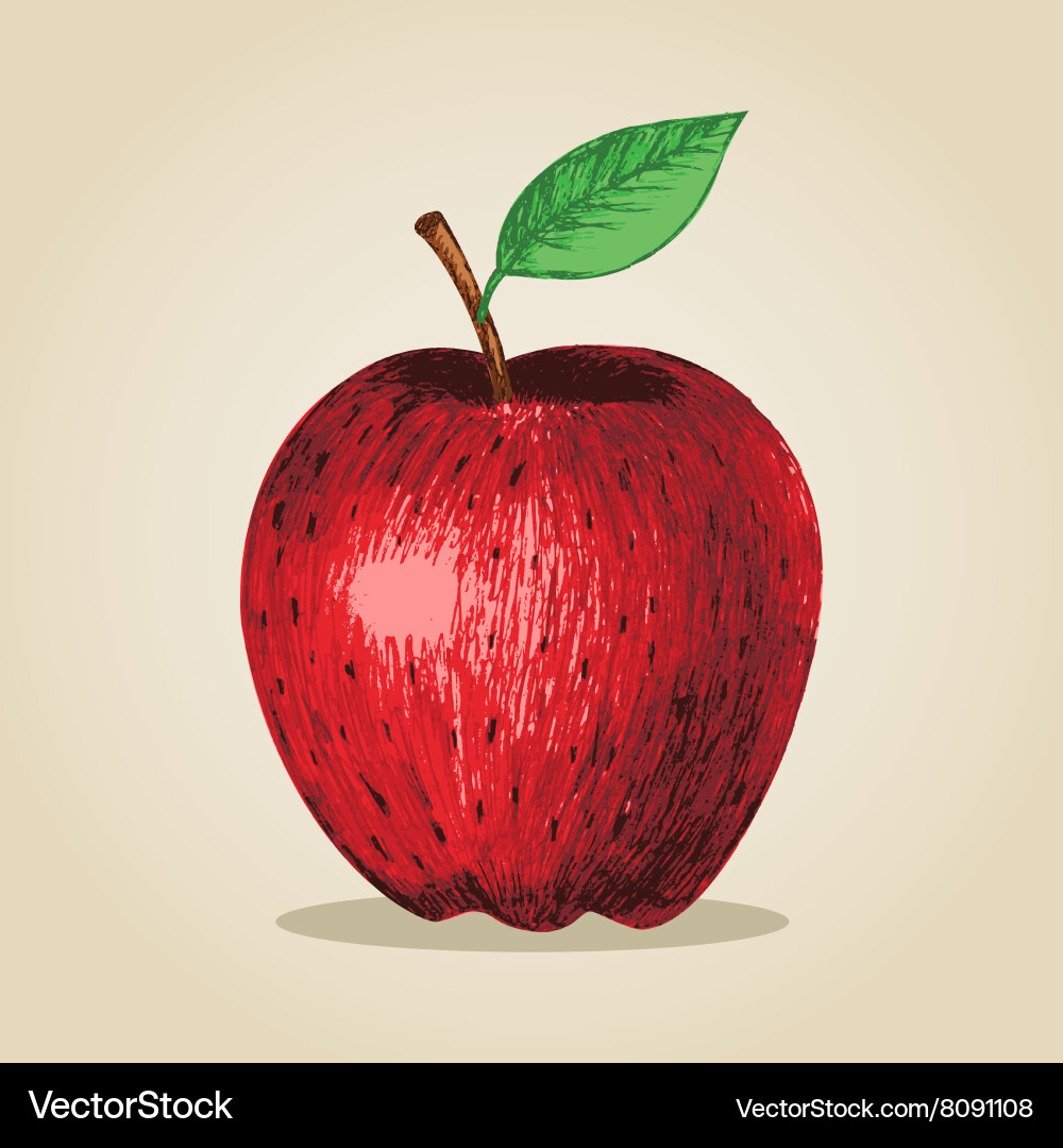Sketch of an apple Royalty Free Vector Image - VectorStock