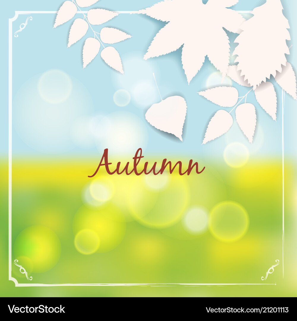 Autumn banner background with paper fall leaves Vector Image