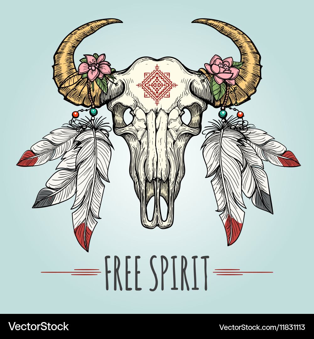 Buffalo skull with ornament and feathers Vector Image