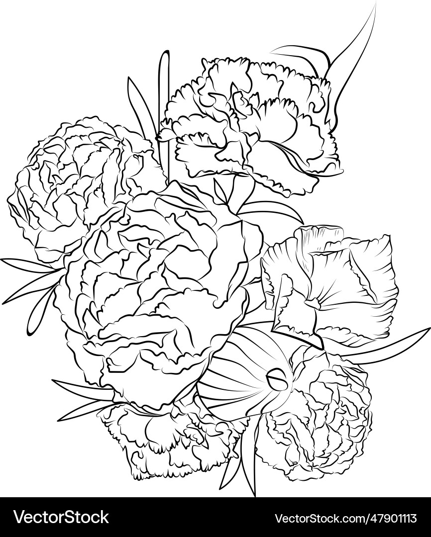 Minimalist line drawing simple carnation tattoo Vector Image