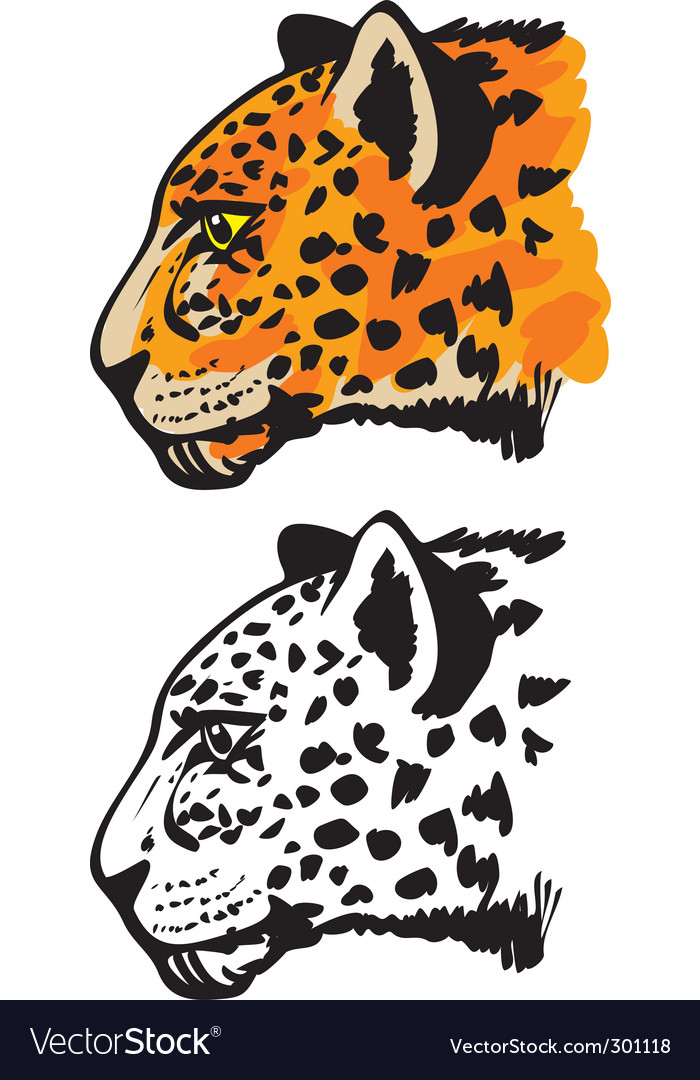 Leopard head Royalty Free Vector Image - VectorStock
