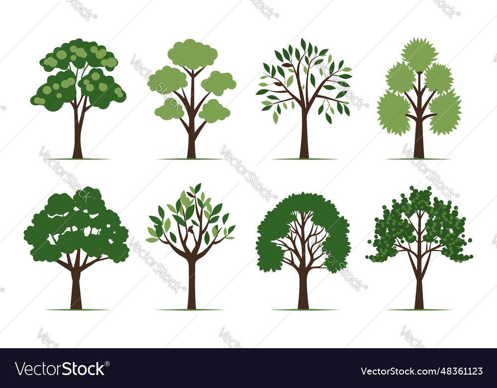 Set of tree in simple flat style isolated Vector Image