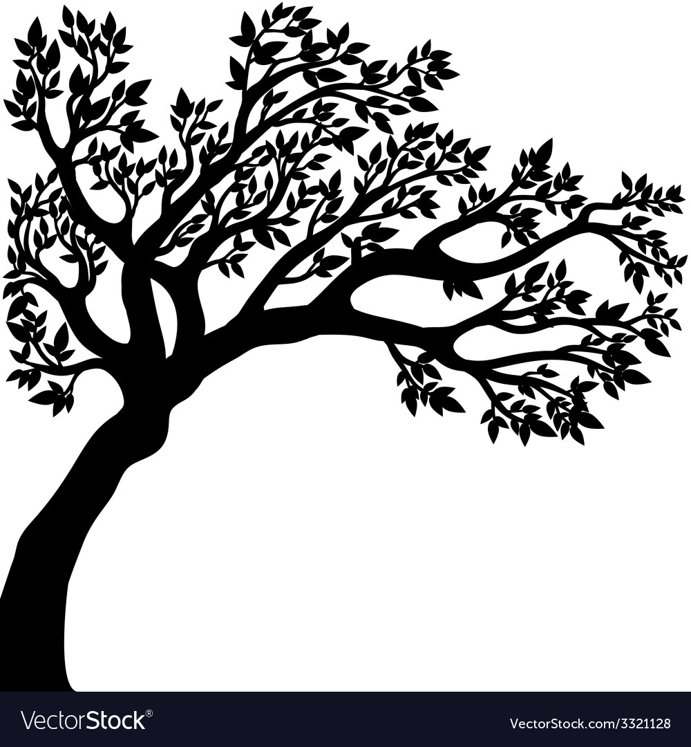 Drawing tree Royalty Free Vector Image - VectorStock