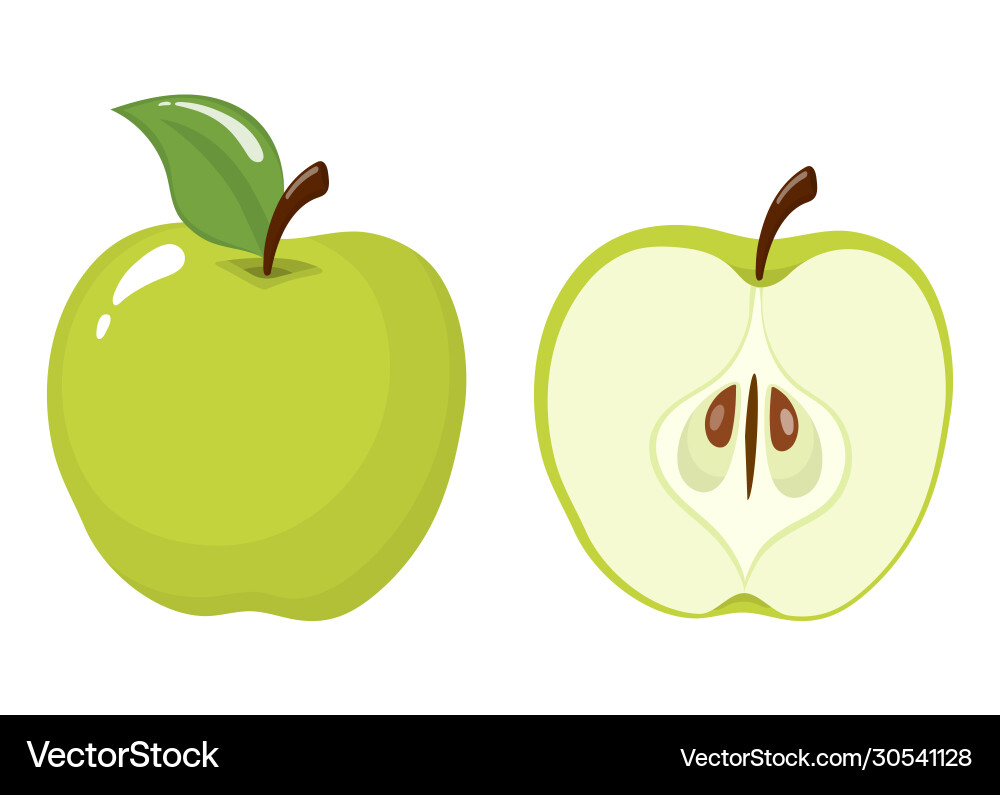 Fresh whole and half green apple isolated Vector Image