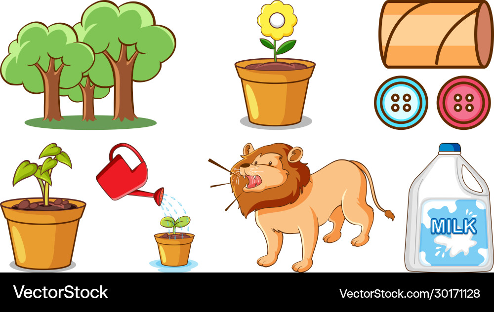 Large set different animals and other objects Vector Image