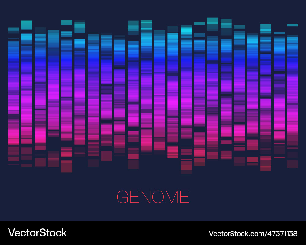 Big genomic data visualization Royalty Free Vector Image