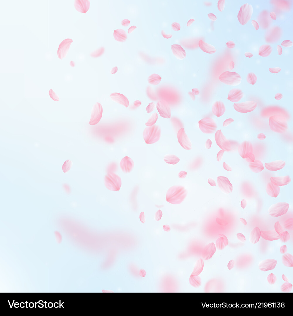 Sakura petals falling down Royalty Free Vector Image