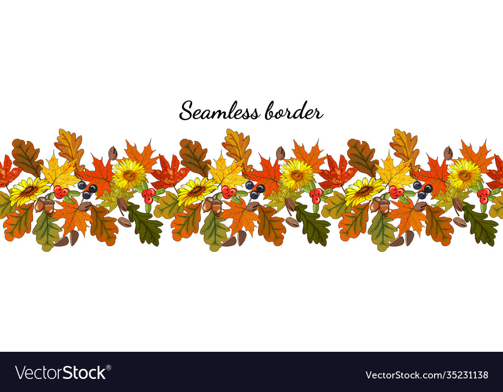 Seamless pattern with fall maple leaves izolate Vector Image
