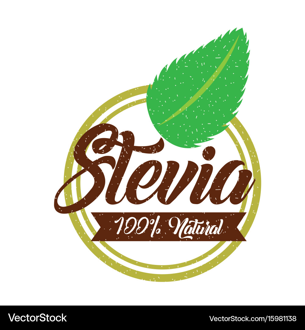 Stevia natural sweetener Royalty Free Vector Image