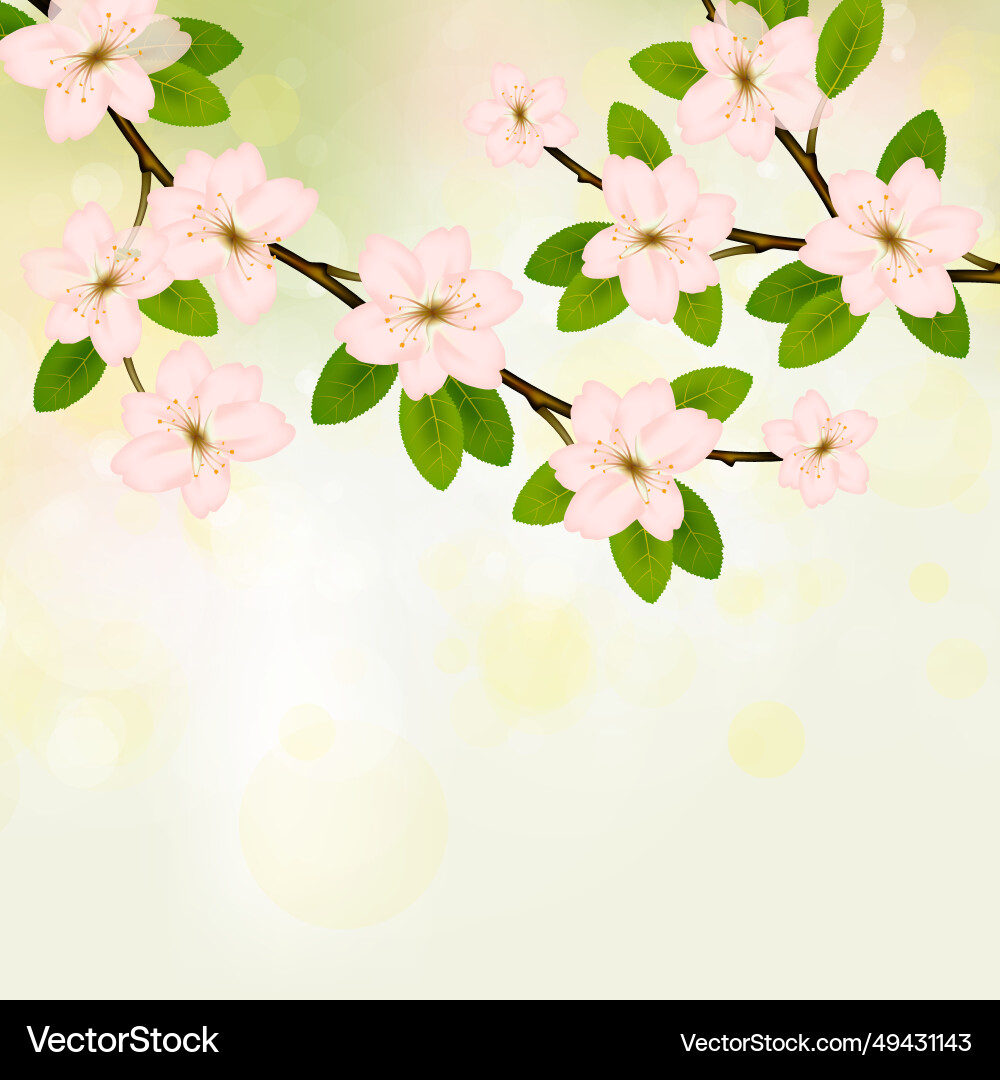 Blooming branch with pink spring blossom Vector Image