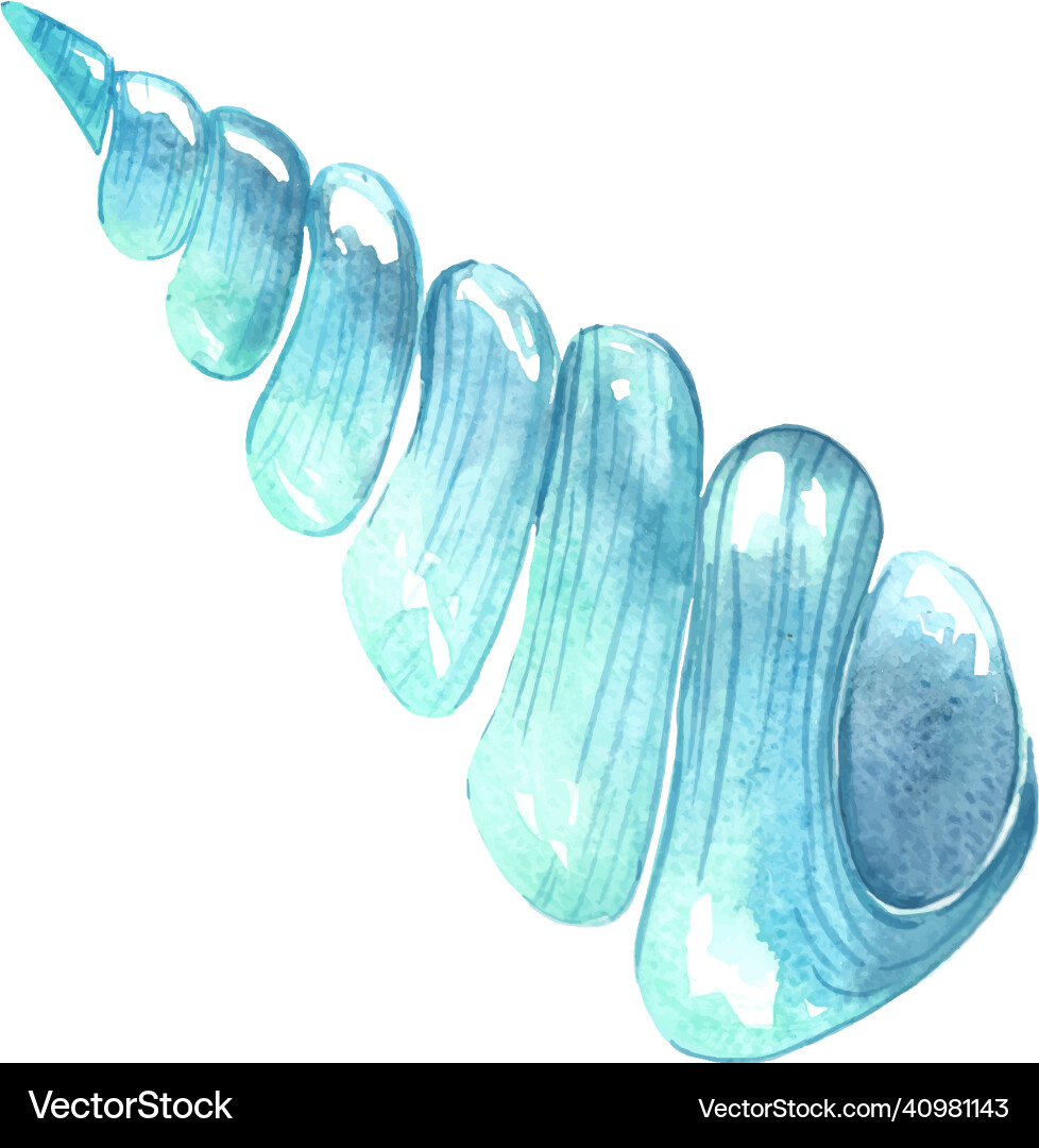 Blue sea shell watercolor for summer Royalty Free Vector