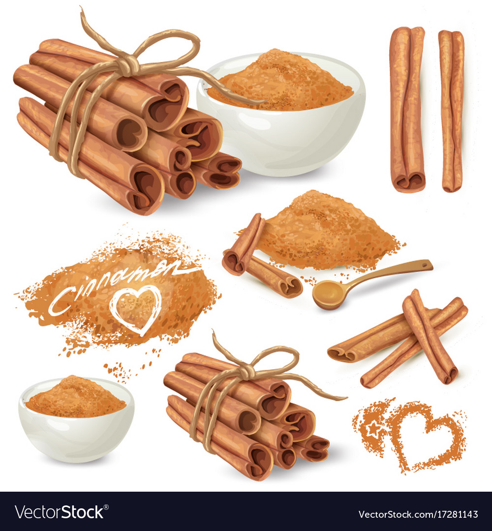 Cinnamon sticks and powder collection Royalty Free Vector Cinnamon sticks and powder collection Royalty Free Vector