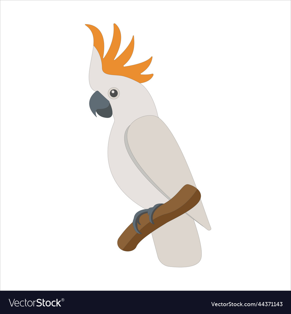 Cute Flat Cockatoo Isolated On White Background Vector Image