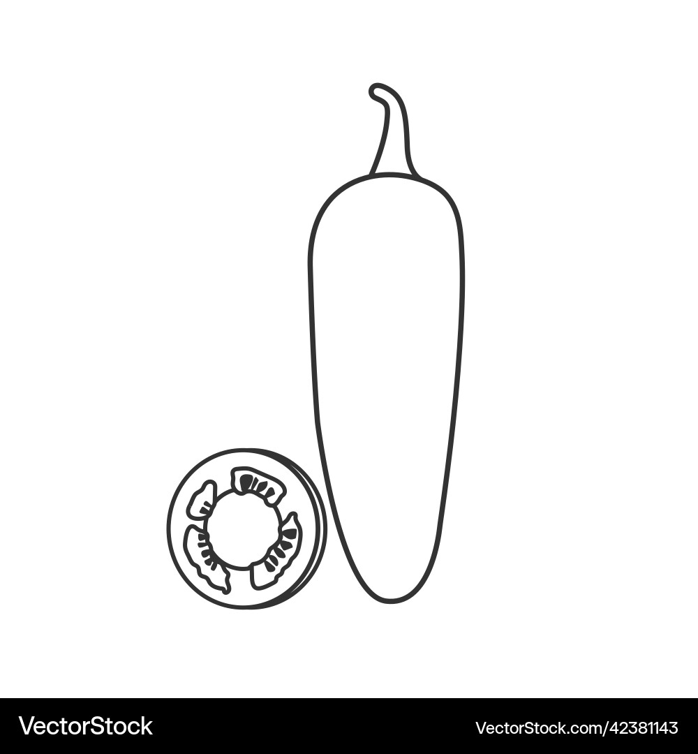 Jalapeno outline icon on white background Vector Image