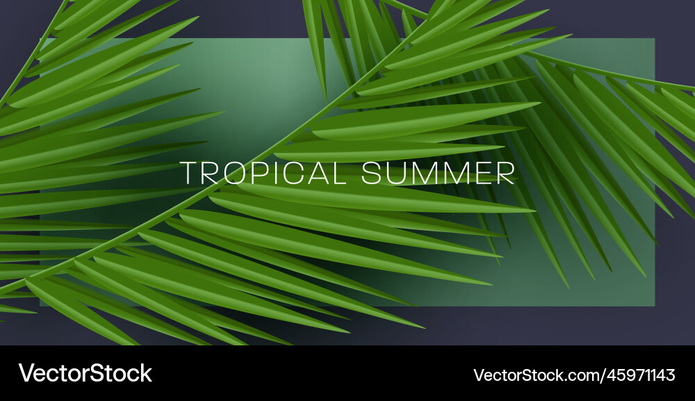 Tropical palm leaves jungle palm leaf frame on Vector Image