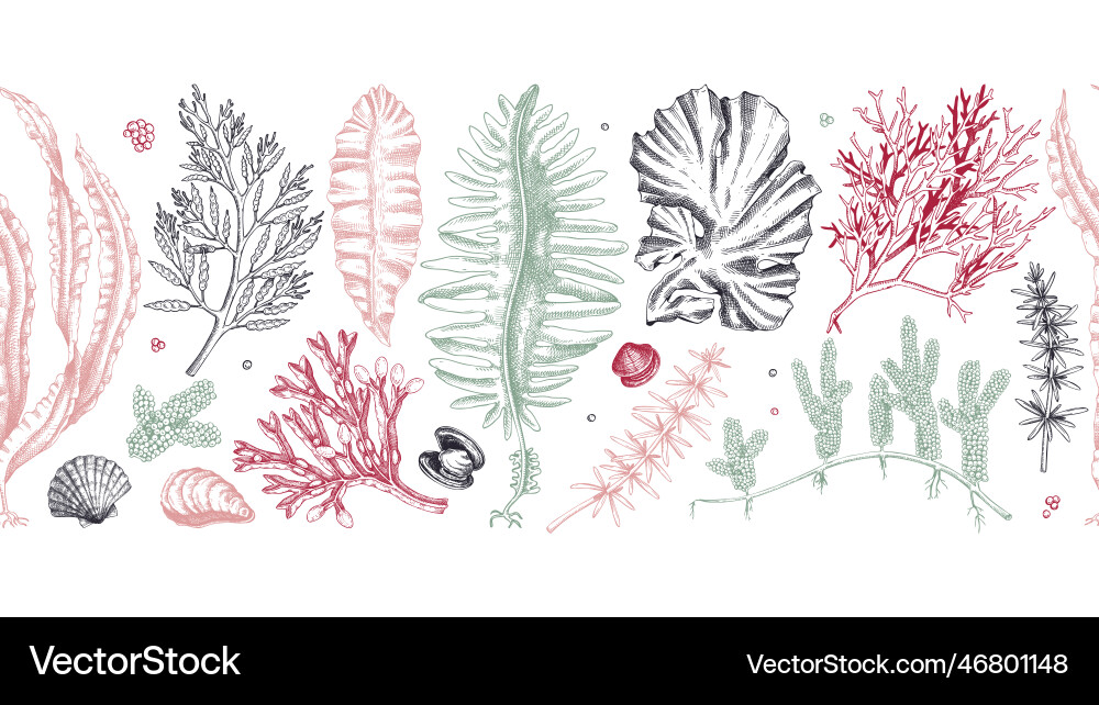 Edible seaweed seamless pattern in color Vector Image