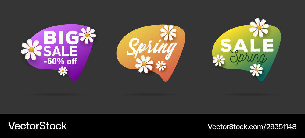 Spring sale labels set with promo text daisy Vector Image