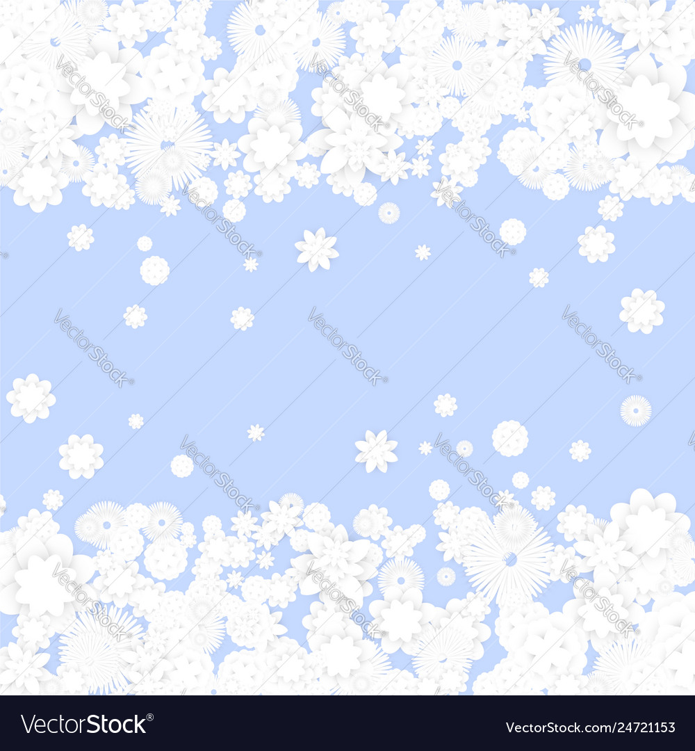 Blue spring background with white flowers Vector Image