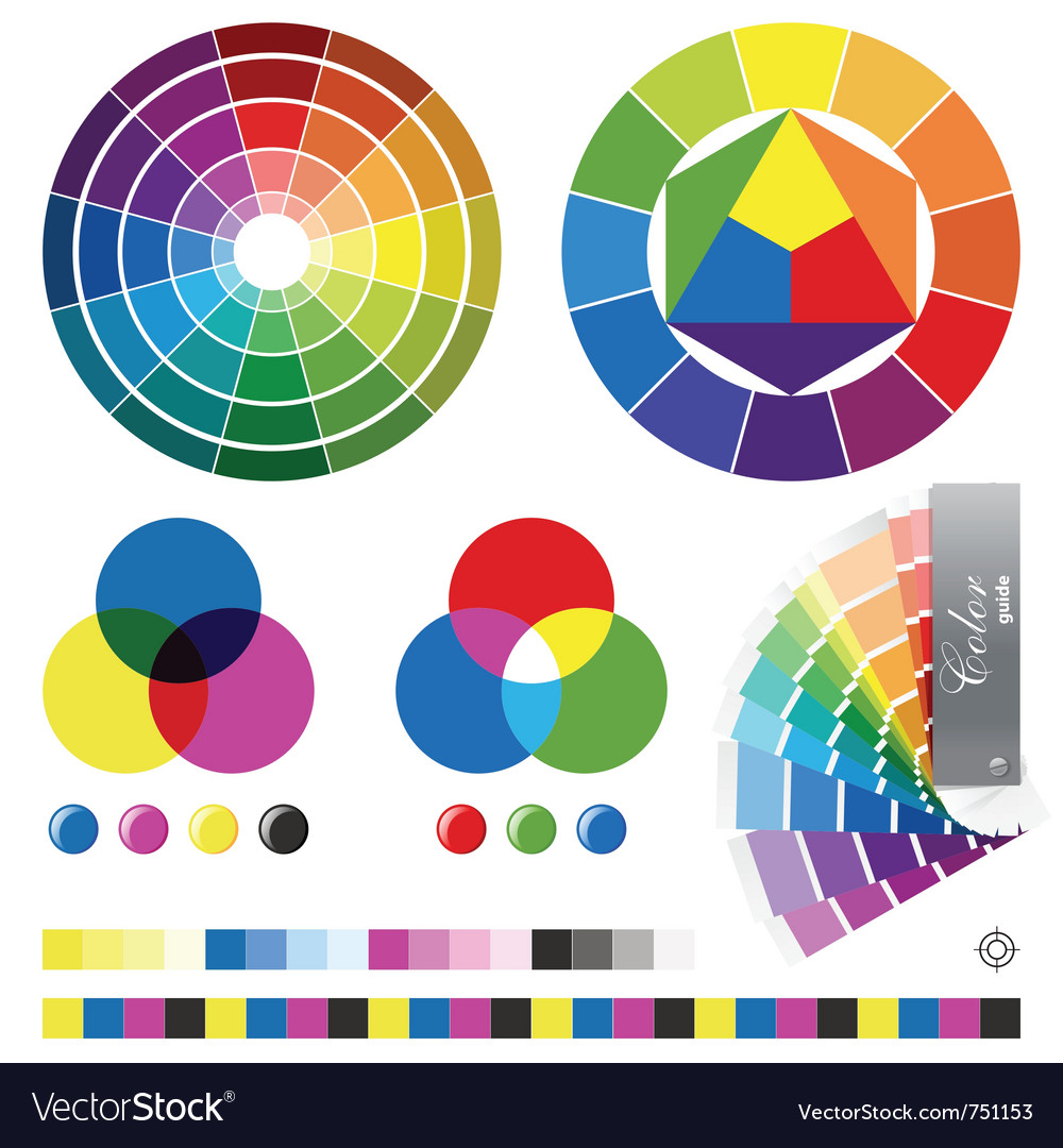 Color guides Royalty Free Vector Image - VectorStock
