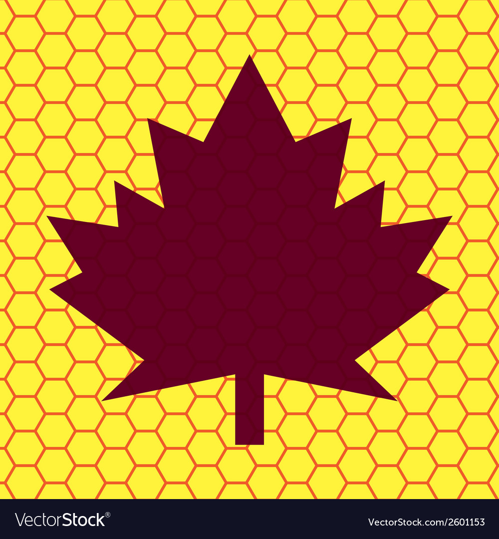 Maple leaf flat modern web button and space Vector Image