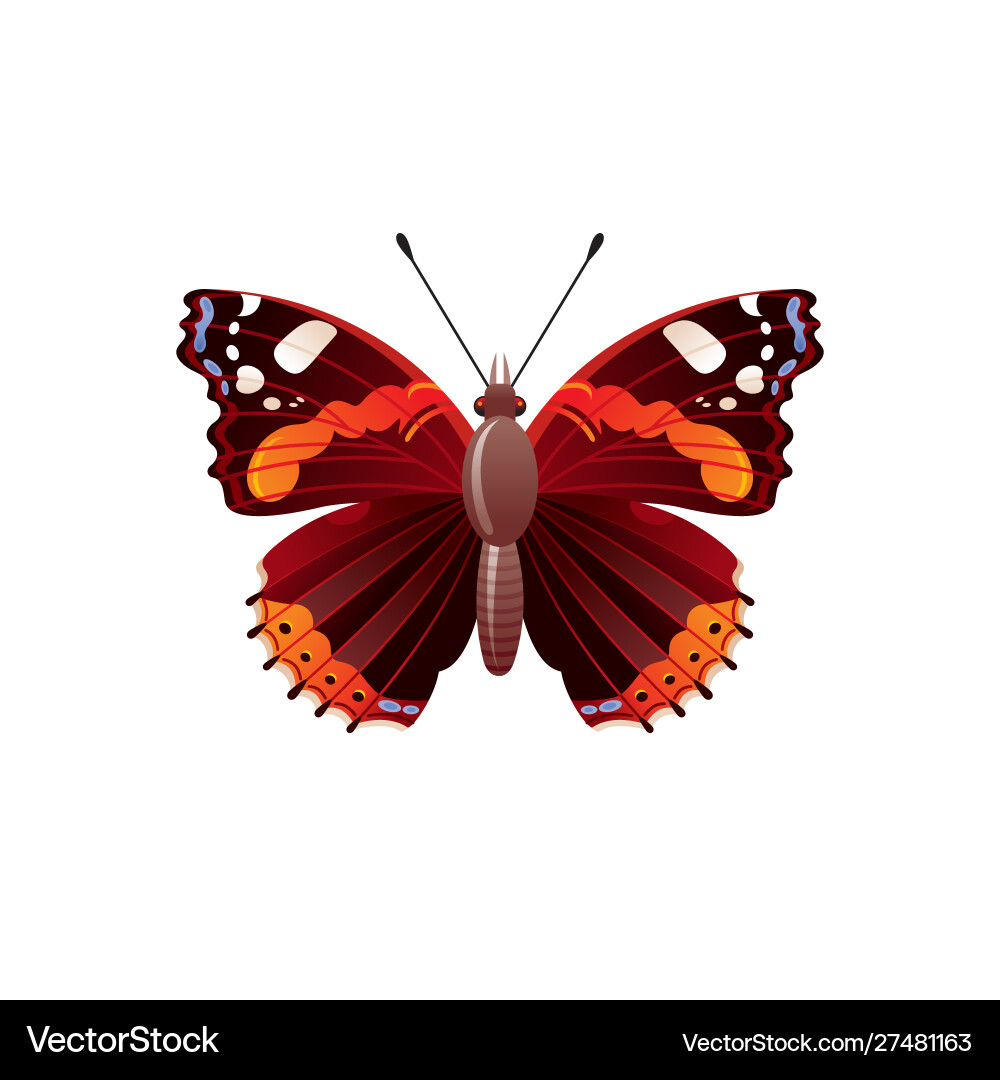 Butterfly icon 3d realistic admiral Royalty Free Vector