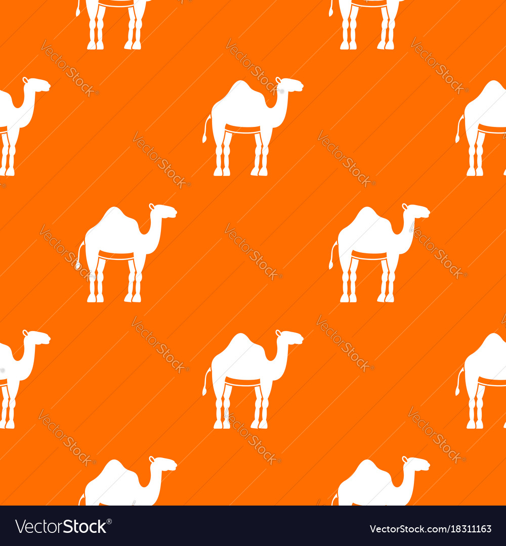 Camel pattern seamless Royalty Free Vector Image