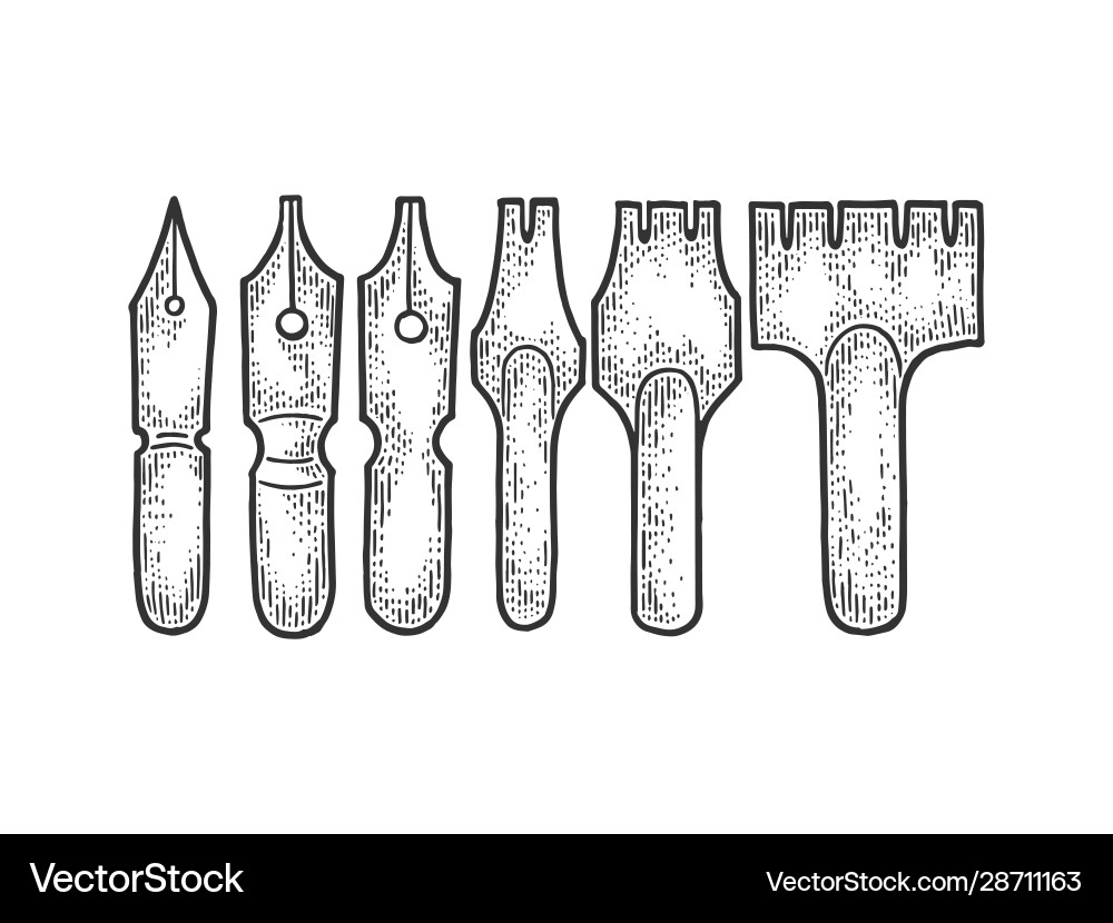 Nib pen set sketch engraving Royalty Free Vector Image