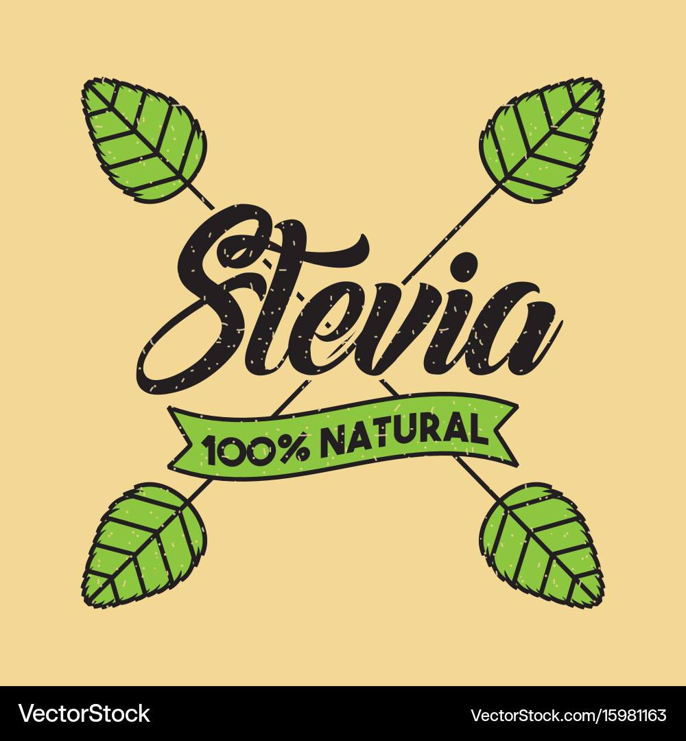 Stevia natural sweetener Royalty Free Vector Image