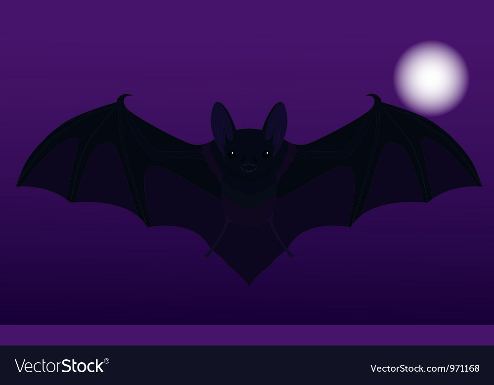 Bat Royalty Free Vector Image - VectorStock