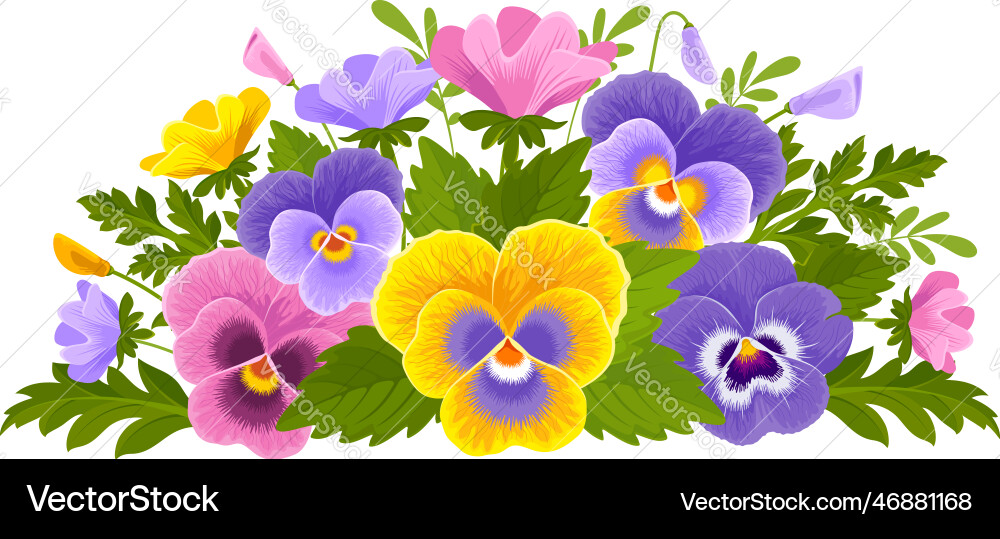 Bouquet of pansy Royalty Free Vector Image - VectorStock