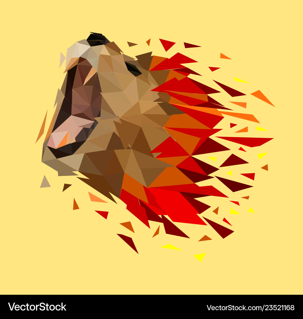 Isolated low poly colorful lion with white yellow Vector Image