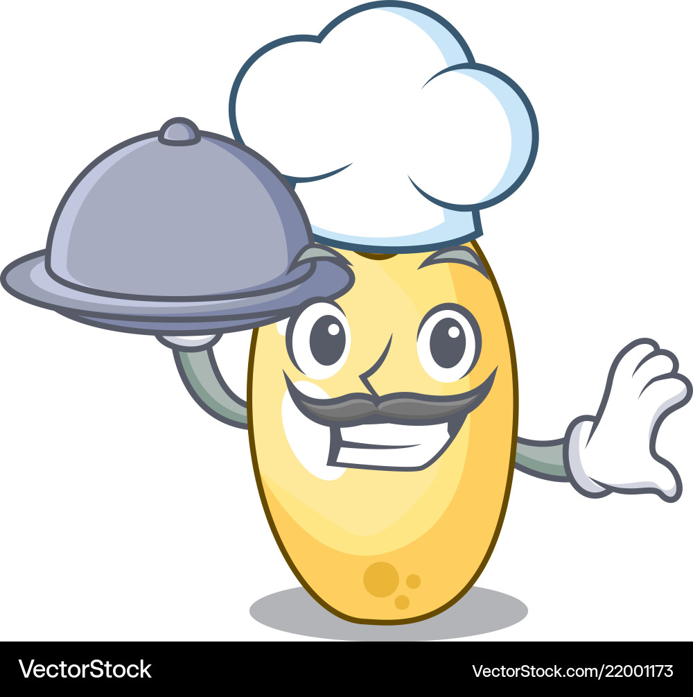 Chef with food cedar pine nuts on a cartoon Vector Image