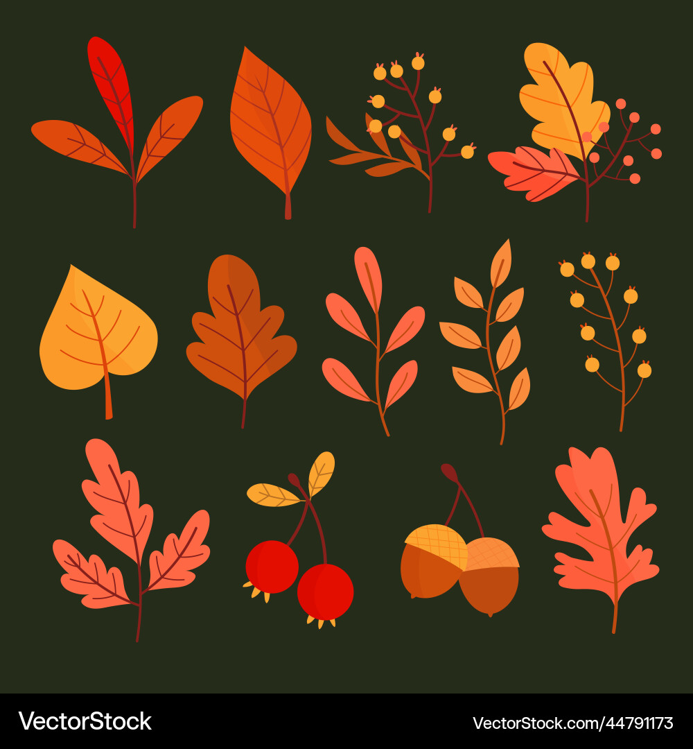 Hand drawn autumn leaves collection design Vector Image