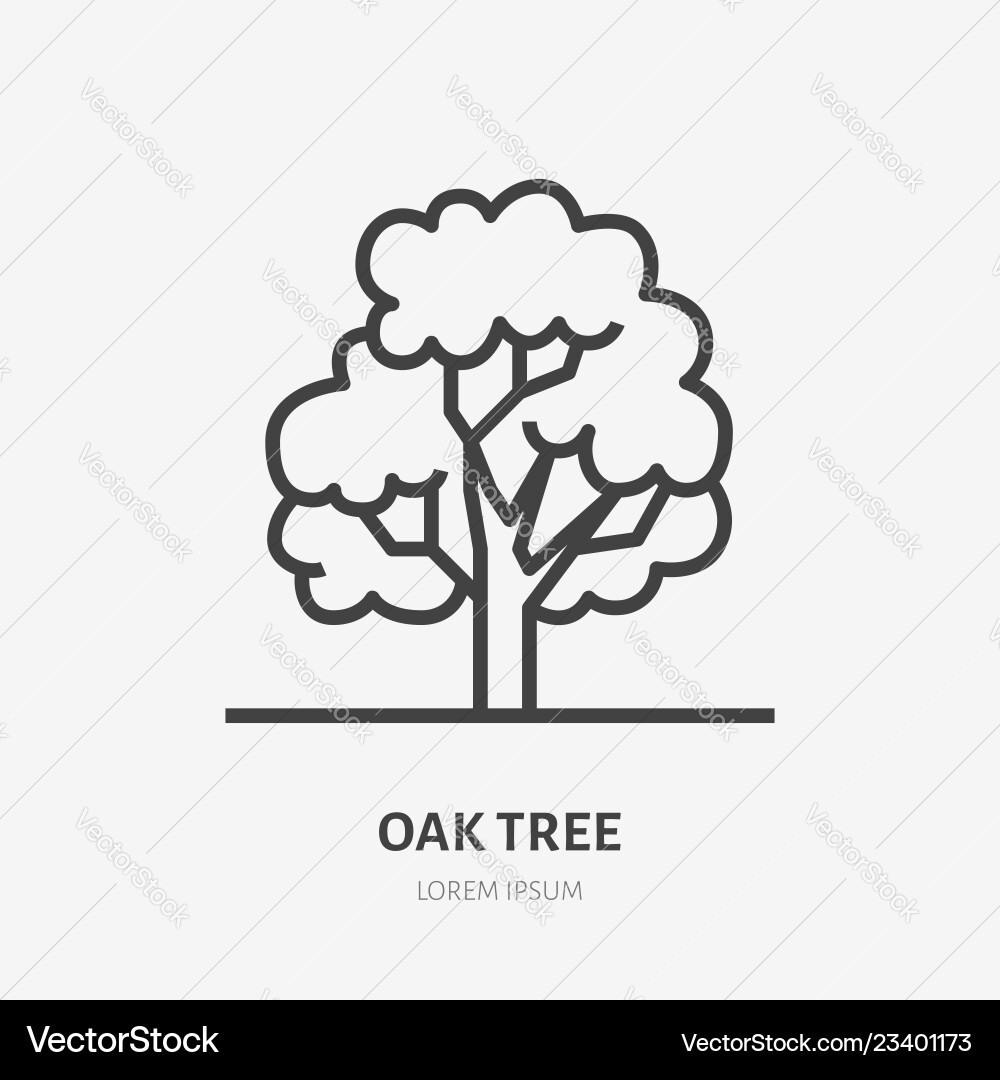 Oak tree flat line icon thin sign of park Vector Image