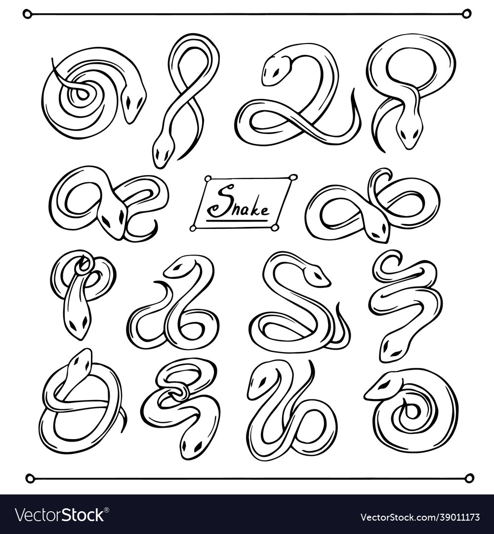 Stylized set snakes Royalty Free Vector Image - VectorStock